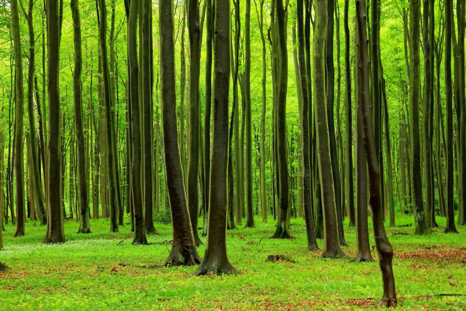 Episode 97: My sustainability journey by 2021 Sustainability Awards ...